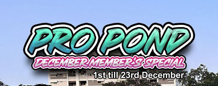 Fishing Events & Competitions in Singapore You Shouldn’t Miss